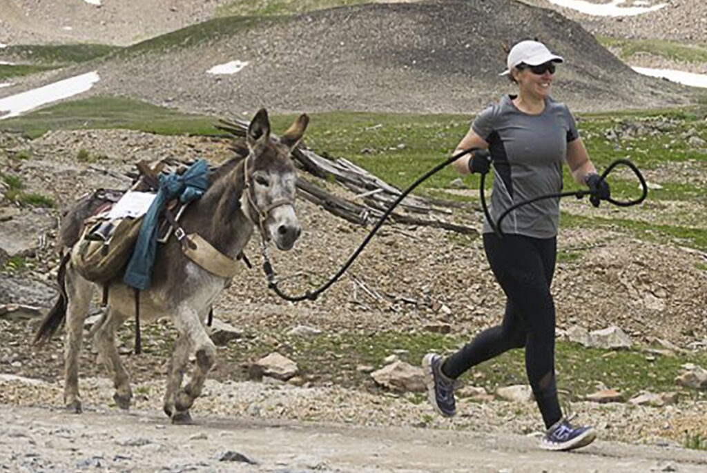 Colorado’s Running with the Burros - Colorado Fun Fact